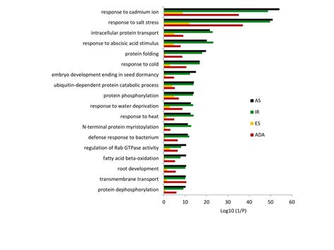 PPT Log P PowerPoint Presentation Free Download ID