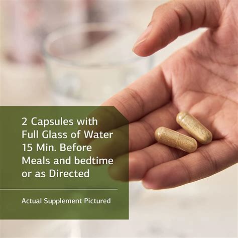 Standard Process Gastrex Whole Food Digestion Support 90 Capsules