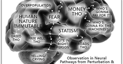 Neural Mapping Of Cognitive Dissonance For Rbe Album On Imgur
