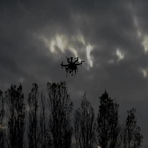 Tutorial Customdataset Object Detection Dataset By Its Yolo Bro