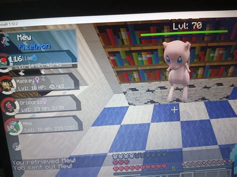 Pixelmon Mew