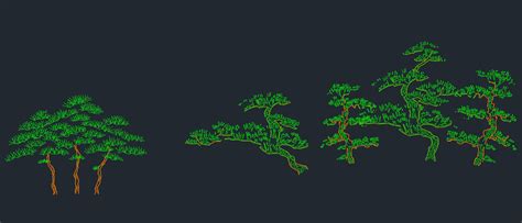 조경 소나무 캐드소스 Library Magnicad Cad Block Free Download