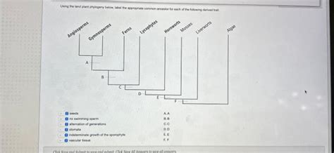 Solved Using The Land Plant Phylogeny Below Label The