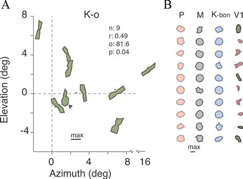 Orientation Tuning And Visual Field Location A Visual Field Map