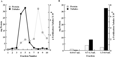 Enrichment Of Fertilization Tubules By Fractionation On Sucrose And
