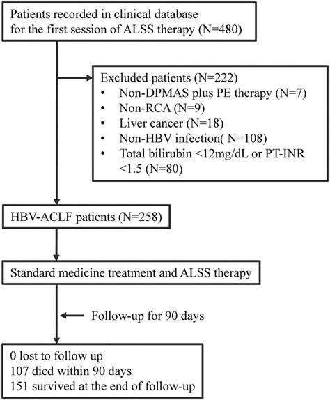 Fractionated Bilirubin Video Neonatal Jaundice Clinical