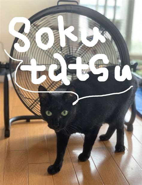 〒速達料金 メルカリ