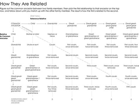 Everything Is Relative Except Relatives And They Are Absolute