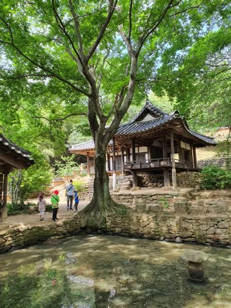 보성 열화정 옷소매 붉은 끝동 촬영지 비봉 공룡알 화석지 네이버 블로그