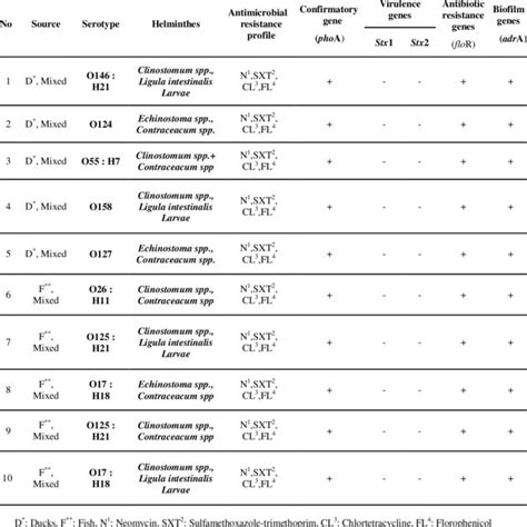 Serotyping Of E Coli Isolates Download Scientific Diagram