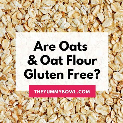 Oat En Gluten At Zac Wilmot Blog