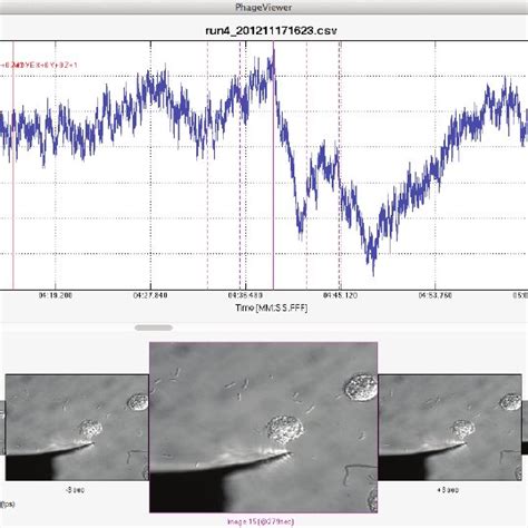 A Custom Matlab Interface Enables Correlative Data Analysis Of Live