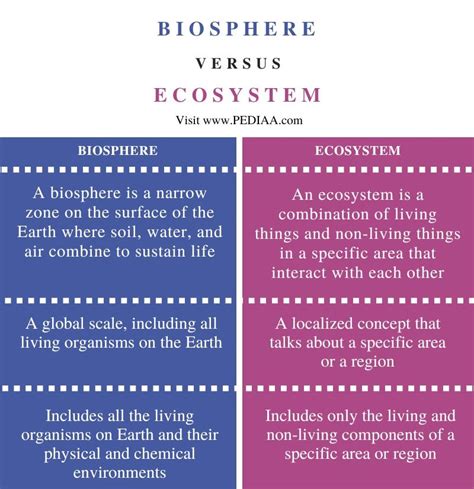 What Is The Difference Between Biosphere And Ecosystem Pediaa Com