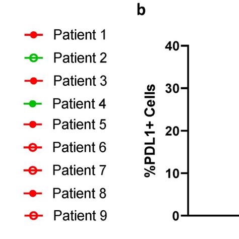 Proportion Of CD T Cells Out Of All DAPI A And PD L Cells Out Of Download Scientific