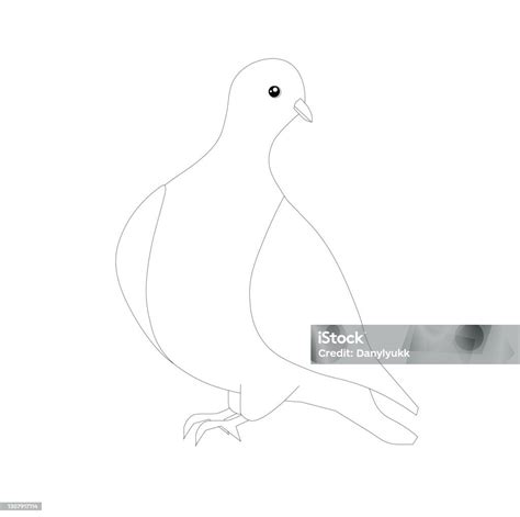 Dove Sketsa Desain Elemen Stok Vektor Ilustrasi Untuk Mewarnai Buku