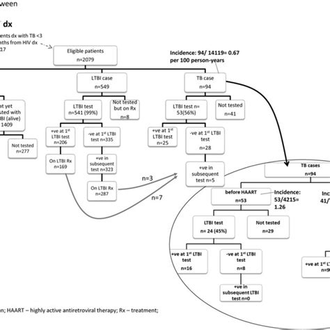 Flow Chart Of Ltbi Testing And Treatment Among Hiv Patients Download Scientific Diagram