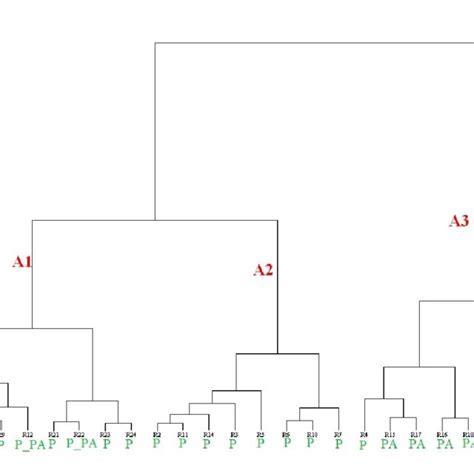 Cluster Analysis Su Dati Binari 01 Incremental Sum Of Squares