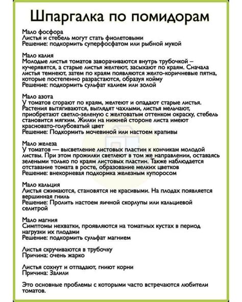 Садовая фея дача сад огород Полезный пост про помидоры ☘Садовая фея полезные советы и