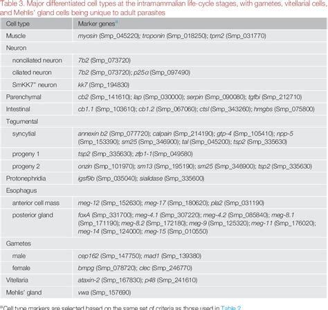 Table 3 From Single Cell Deconstruction Of Stem Cell Driven Schistosome