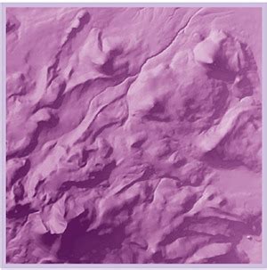 Modeling Surfaces Chapter Flashcards Quizlet