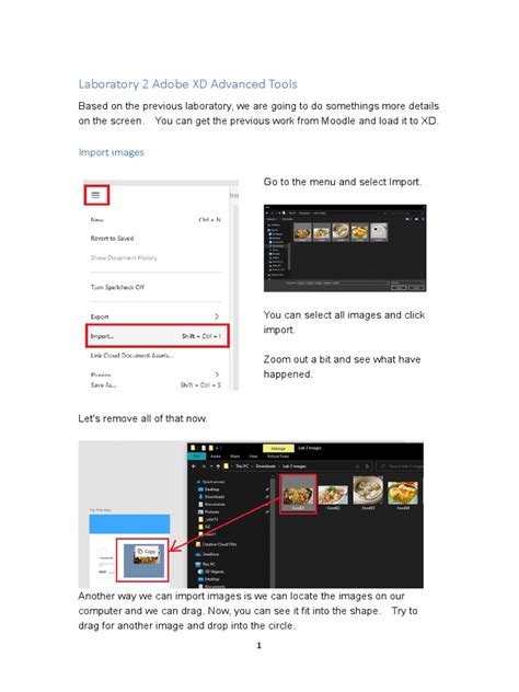 lab 2 adobe xd advanced tools pdf pdf software image processing