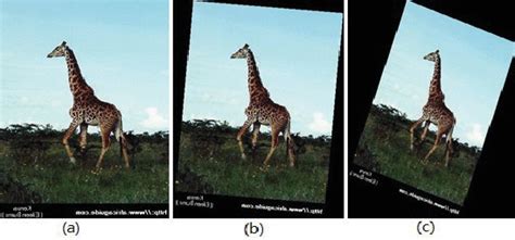 figure 20 from contour segment grouping for object detection semantic