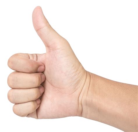 Hand Showing Thumbs Up Sign Isolated 13795312 Png