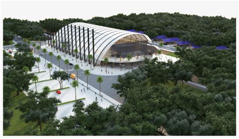 Tree Aerial View Png Transparent PNG 1920x1080 Free Download On NicePNG