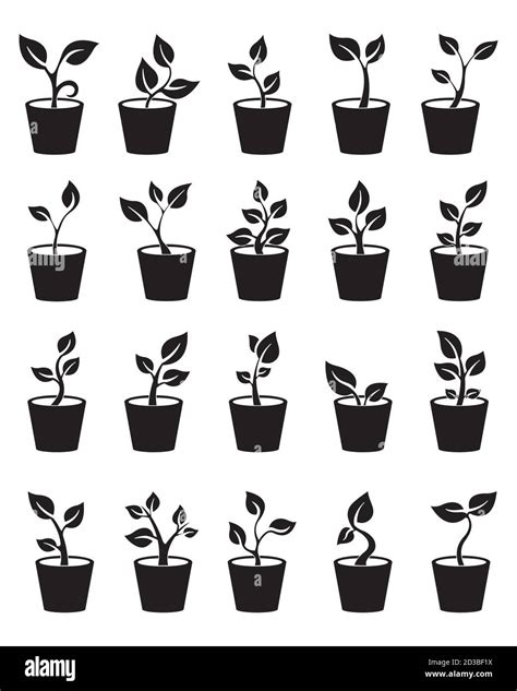 Planted Seedlings Stock Vector Images Alamy