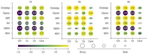 Explanatory Relationships Between Vegetation Indices Chlorophyll Download Scientific Diagram