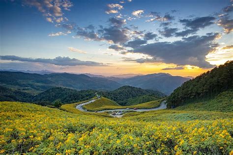 นักท่องเที่ยวชม ทุ่งบัวตอง สัมผัสอากาศหนาว เช้านี้อุณหภูมิต่ำสุด 2 องศา