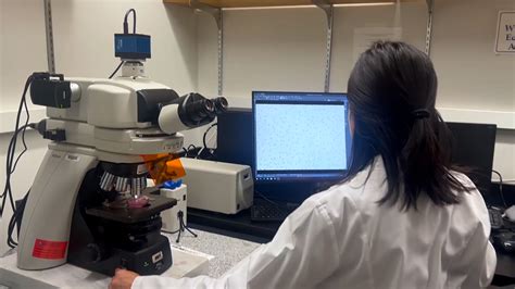 Video Tissue Processing And Isolation Of Primary Fibroblasts From The