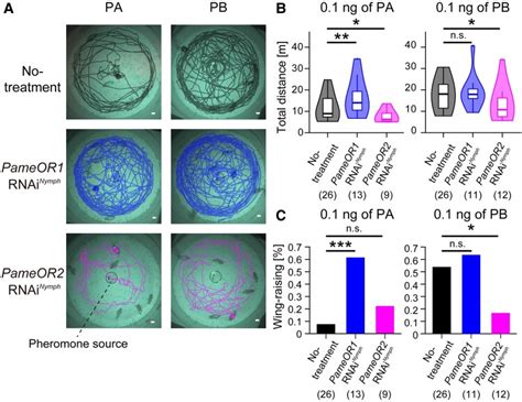 Interactive Parallel Sex Pheromone Circuits That Promote And Suppress