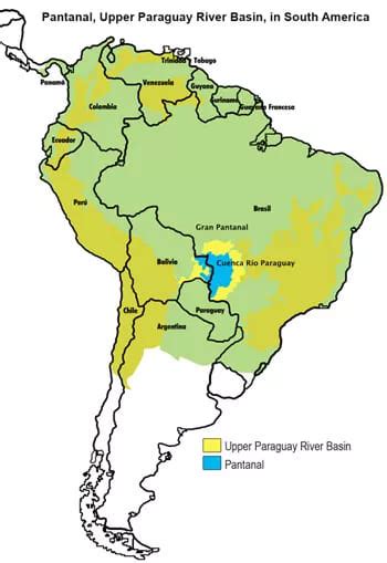 Amboro Tours Bolivian Pantanal