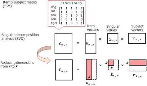 Frontiers Semantic Memory Organization In Japanese Patients With