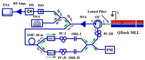 Schematic Of The Experimental Arrangement For Single And Dual Loop Download Scientific Diagram