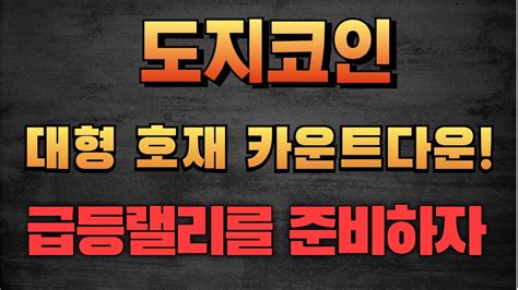 도지코인 대형호재 카운트 다운 급등랠리를 준비하자 Youtube