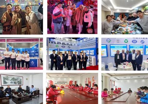 Hydroxypropyl Methylcellulose Hpmc Hemc Rdp For Dry Mix Mortar Production Line Hpmc And