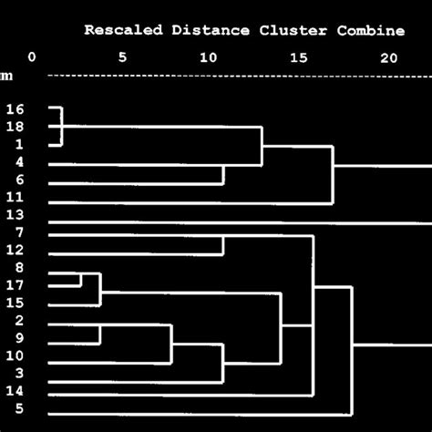 Samples Dendrogram Obtained By Unsupervised Hierarchical Cluster