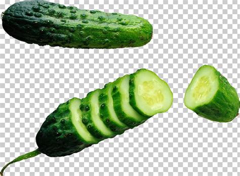 Cucumber PNG Clipart Bikinibody Carbs Cornichon Cucumber Gourd And Melon Family Cucumis