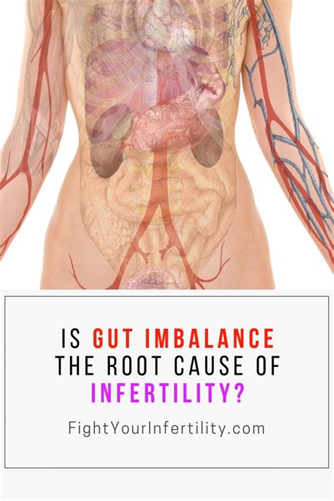 Is Gut Imbalance The Root Cause Of Infertility Fight Your Infertility