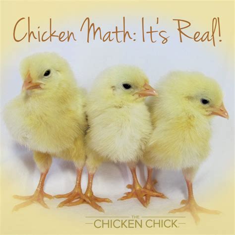Chicken Math A Force To Be Reckoned With The Chicken Chick®