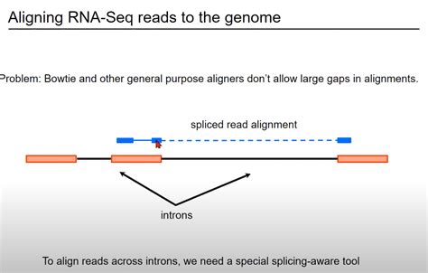 【rna Structures】rna Seq 分析 Rna转录的重构和前沿测序技术转录组测序和分析原理 Csdn博客