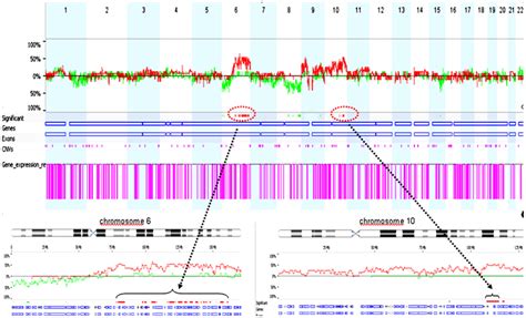 Correlation Of Copy Number Alterations Cnas And Gene Download