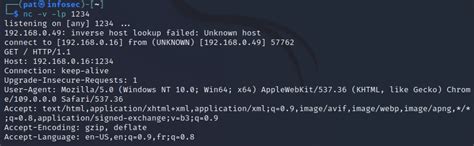 Mastering Netcat On Kali Linux A Beginners Guide Infosecscout