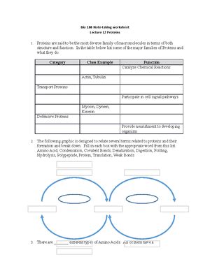 Lab Answer Sheet Lab Report Lab Answer Sheet As Outlined In The Instructions Documents