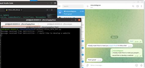 Build Your Own Python Chatbot With The Telegram Api Joaqu N Ruiz It Consultant