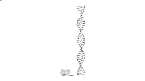 Dna 3d Warehouse