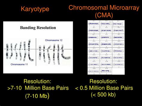 Ppt The Next Generation Microarray And Beyond Powerpoint