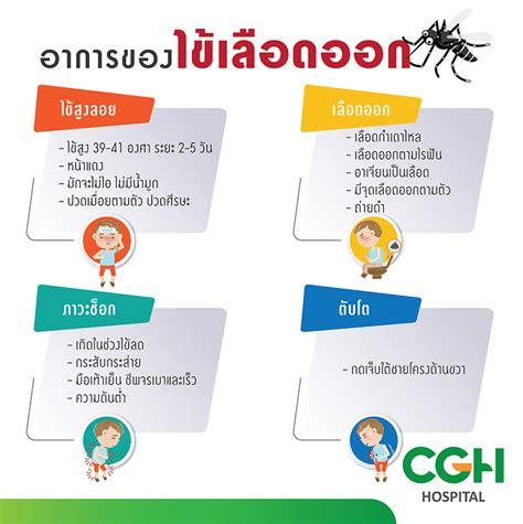 โรคไข้เลือดออก โรงพยาบาลซีจีเอช